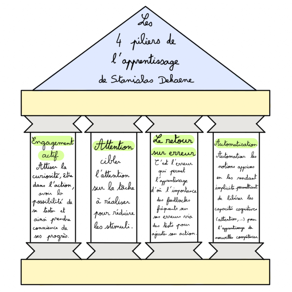 Les 4 piliers de l'apprentissage | PRP